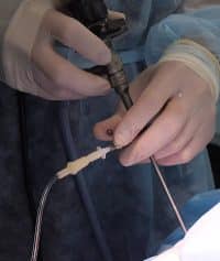 Diagnostics | Vet in Tucson | PAWS Veterinary Center