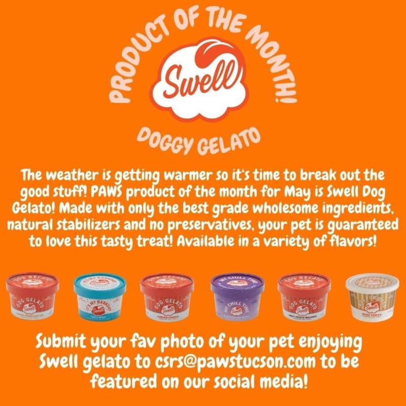 Team | Vet in Tucson | PAWS Veterinary Center